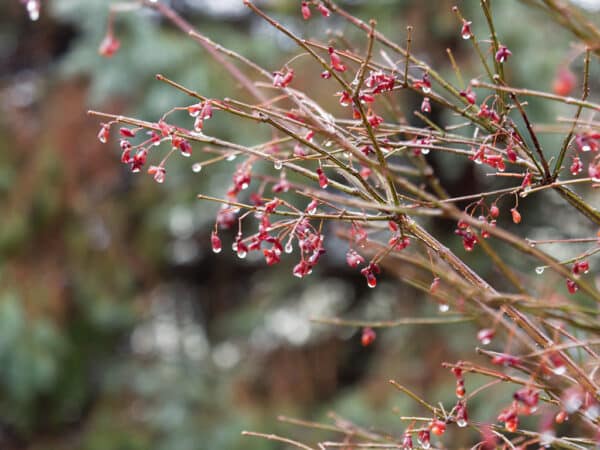 Champlin Farm Preserve – The Westerly Land Trust